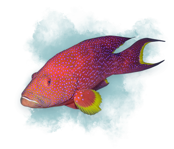 The fishing stay - Radama Islands Resort