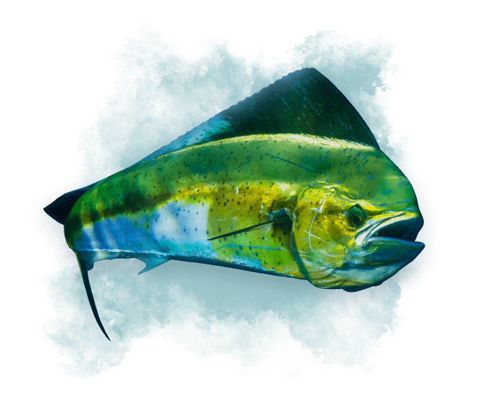 Pêche - Radama Islands Resort