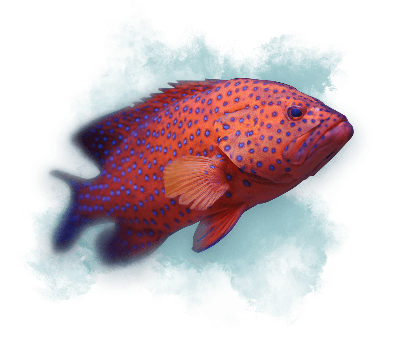 Pêche - Radama Islands Resort