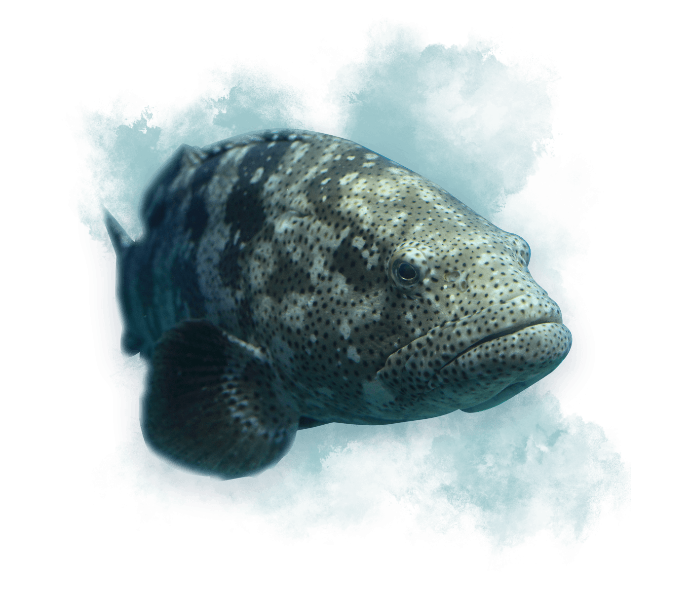 Pêche - Radama Islands Resort