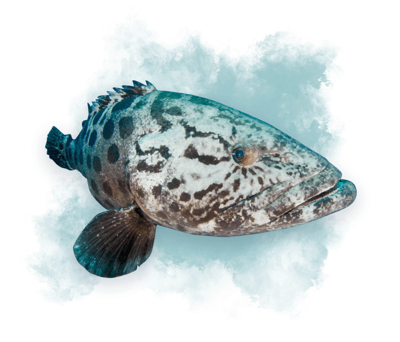 Pêche - Radama Islands Resort