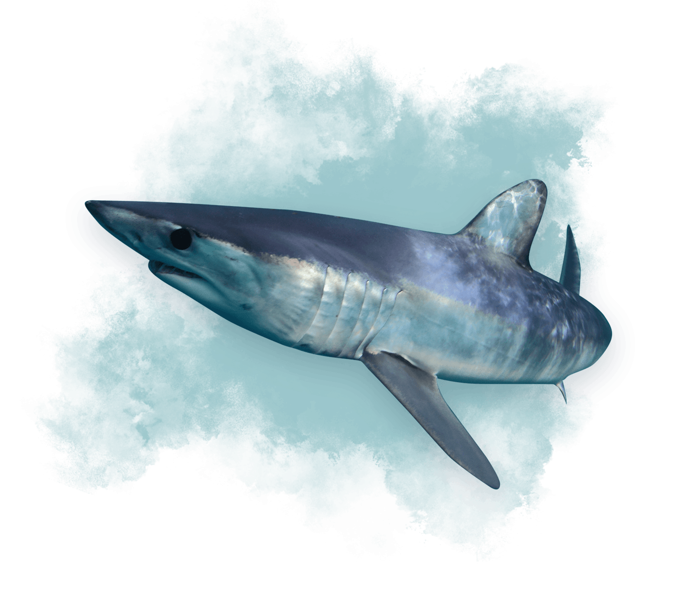 Pêche - Radama Islands Resort