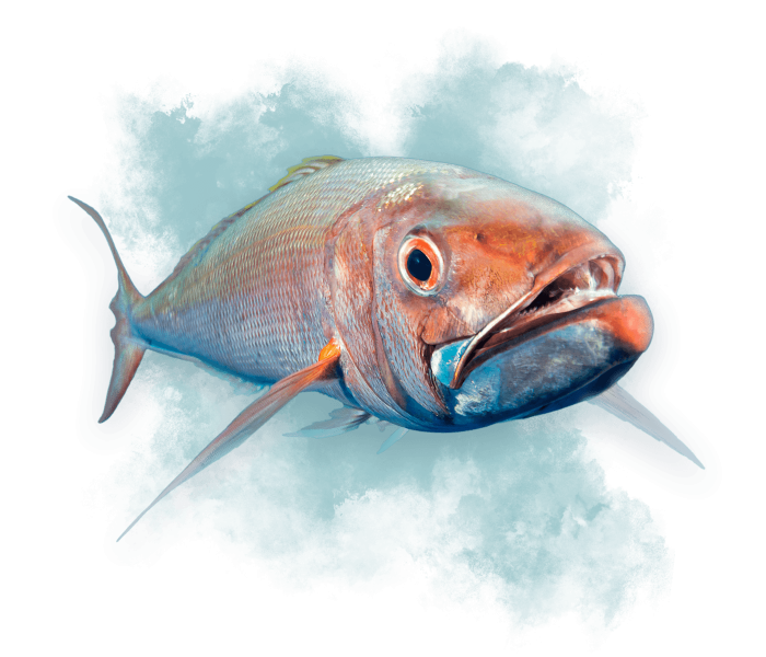 Pêche - Radama Islands Resort